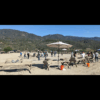 Mine – DigForGems – OceanView & Pala Chief Mines – American Gem Tours ...